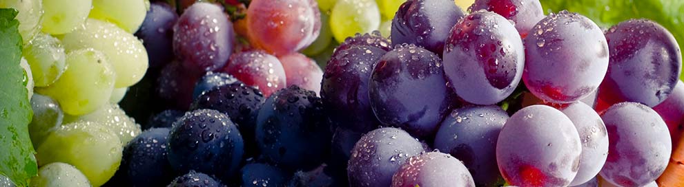 Boron Deficiency in Grapes | U.S. Borax