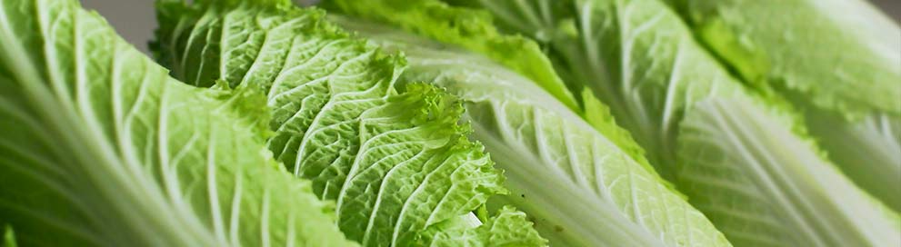 Boron Deficiency in Chinese Cabbage | U.S. Borax