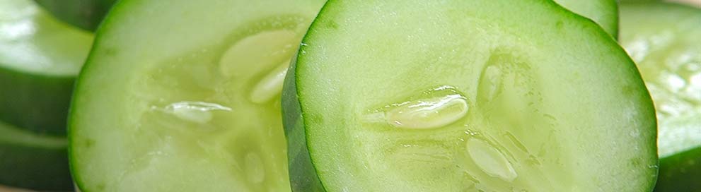 Boron Deficiency in Cucumber | U.S. Borax
