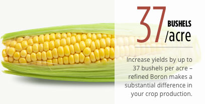 Refined Boron Fertilizer Products | U.S. Borax