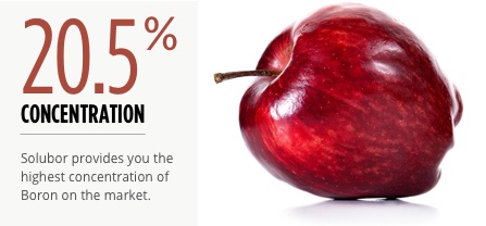 Solubor Products | U.S. Borax