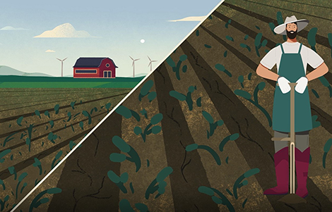 Know your soil (video) | U.S. Borax