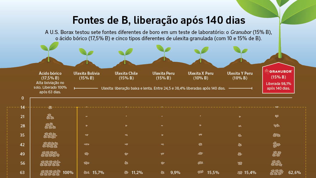 Infográfico: Por que o Granubor é perfeito para sua lavoura? | U.S. Borax